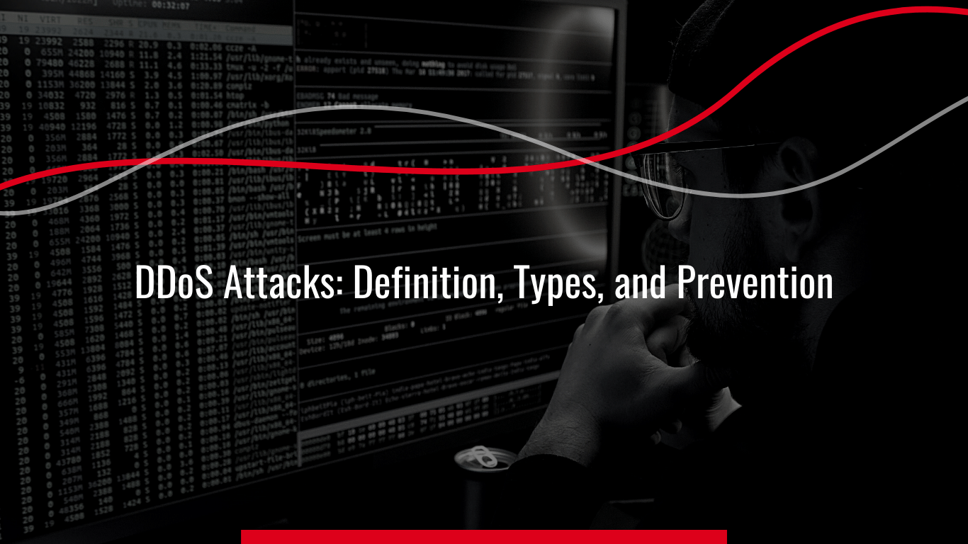 What is a DDoS Attack: Definition, Types, and Prevention | Blog | Humanize