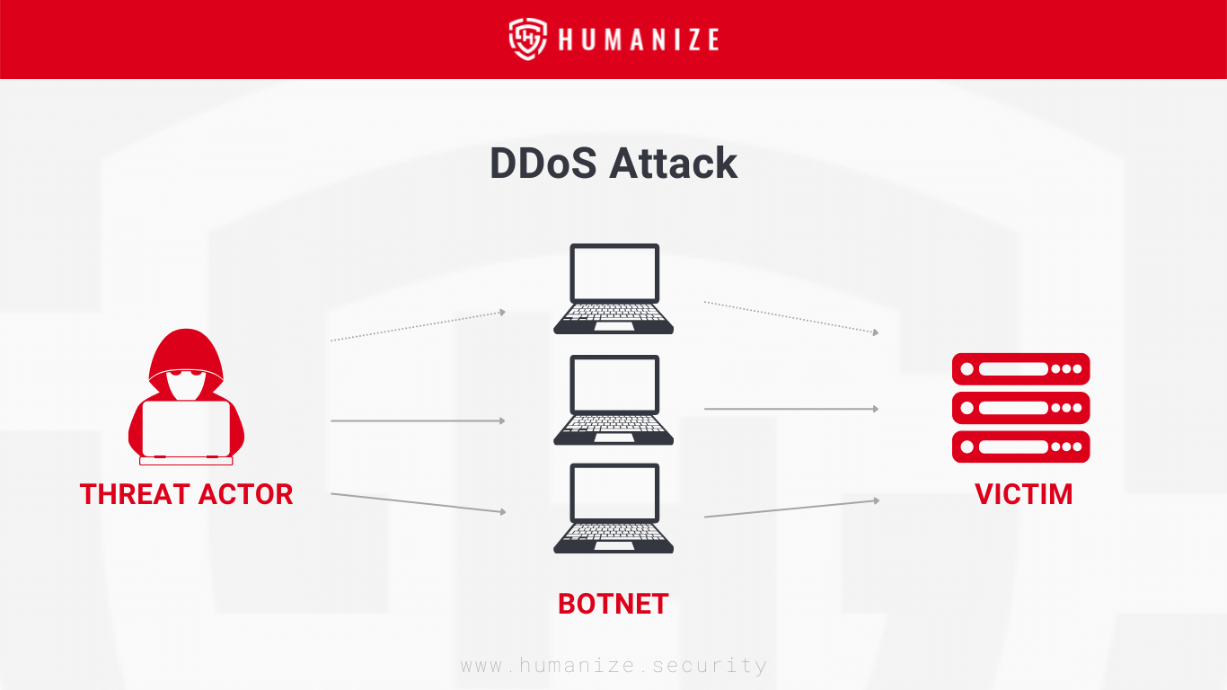 What is a DDoS Attack: Definition, Types, and Prevention | Blog | Humanize