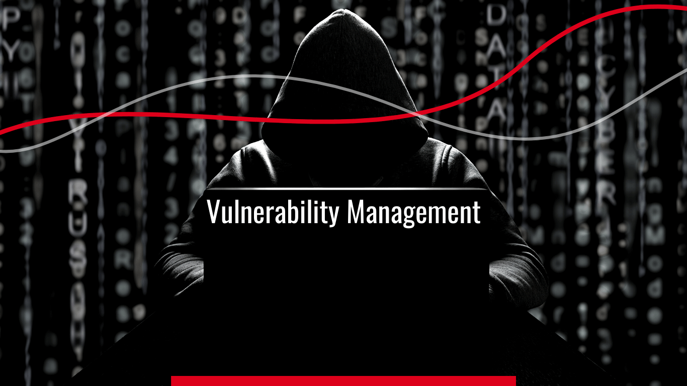 What is Vulnerability Management? | Blog | Humanize